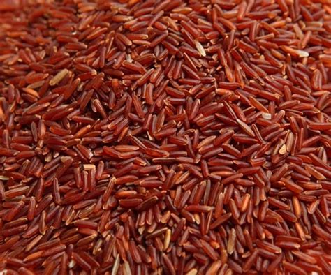 1509 Red Basmati Rice At ₹ 82kg 1509 बासमती चावल In Kakar Majra Id