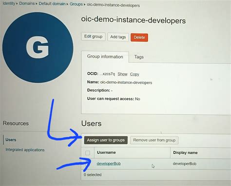 Soalicious Oic Gen3 Provision An Oic Instance And Assign Oic Service Roles