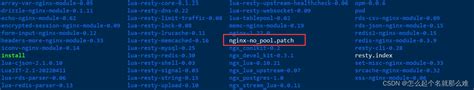 openresty无损升级内嵌nginx版本0day漏洞 openresty漏洞 csdn博客