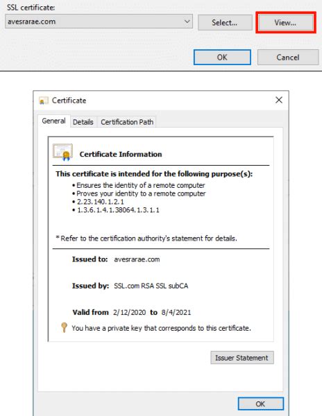 Binding In Windows IIS SSL