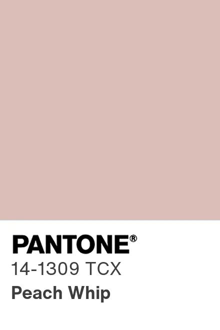 Pantone® Usa Pantone® 14 1309 Tcx Find A Pantone Color Quick
