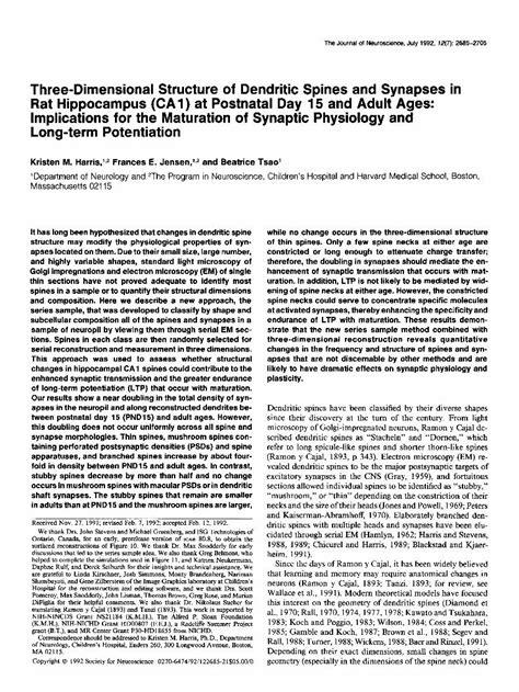 Pdf Three Dimensional Structure Of Dendritic Spines And 2666 Harris Et Al Maturation Of