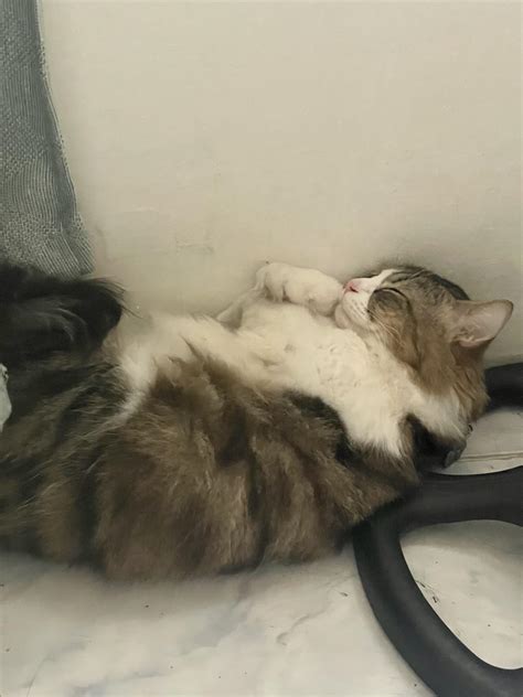 Nagtathumbsuck Pa Pala Tong 1 Year Old Ko Grabe R Catsofrph