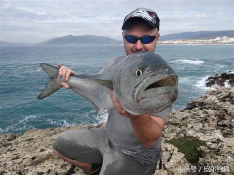教你各種魚的最佳垂釣時間掌握技巧不空軍釣魚新手要掌握 每日頭條