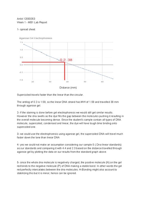 Report Experiment Ankit Week MB Lab Report Spread Sheet Distance Mm Studocu