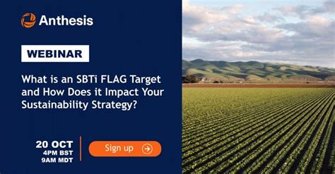 Anthesis Group On Linkedin What Is An Sbti Flag Target And How Does It