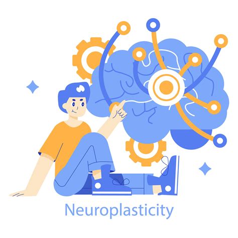 Neuroplasticity Concept Illustration 46018805 Vector Art At Vecteezy