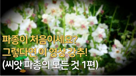 씨앗 파종의 모든 것 1편꽃씨 파종 소소한 것까지 자세히 알려드리는 영상직파 모종판 포트 파종의 장단점꽃씨 보관하는 방법정원 가꾸기꽃씨 파종 방법씨앗파종