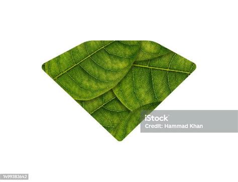 흰색 배경에 분리된 녹색 잎으로 만든 다이아몬드 기호 아이콘 3d 그림 0명에 대한 스톡 사진 및 기타 이미지 0명 3차원 형태 결정체 Istock