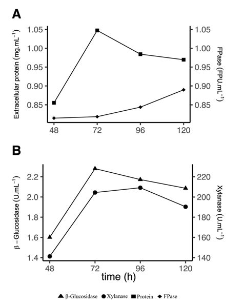 Enzymatic Activities And Extracellular Protein Production By The Download Scientific Diagram