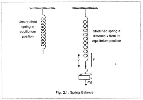 CBSE Class Science Practical Skills Density Of Solid CBSE Sample Papers
