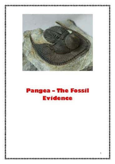 Pangea Fossil Evidence No Prep Worksheet Homework Geography By Legend Learning