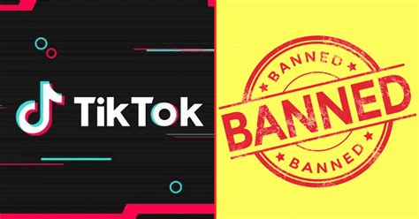 TikTok BANNED TikTok Removed From Google Play Store Apple App Store