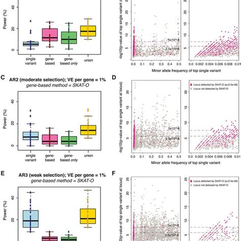 published gene based rare variant association methods evaluated download table