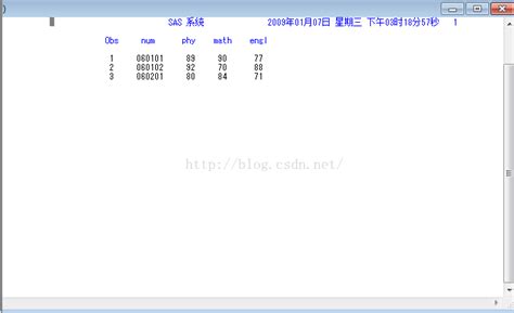 sas编程基础 csdn博客
