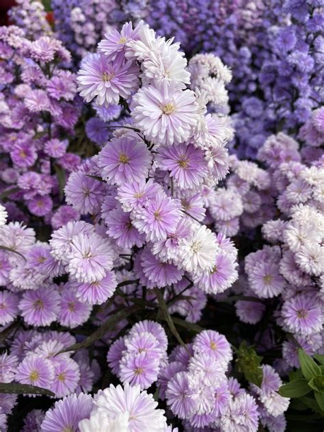 Pin De Naruemon Inkaew Em อรุณสวัสดิ์