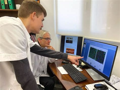 The Dhx15 Gene Could Be A Target For Diagnosing And Treating Liver