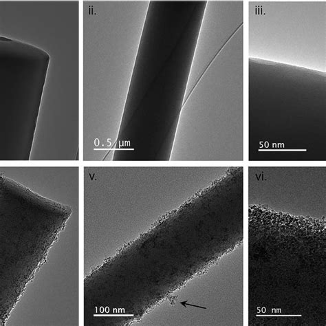 Nd Coated Quartz Microfiber Membrane Morphology And Composition Bright