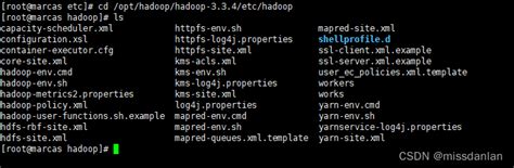 HADOOP 伪分布式集群搭建 centos 伪分布式hadoop集群搭建过程 CSDN博客 HADOOP 伪分布式集群搭建 centos 伪分布式hadoop集群搭建过程 CSDN博客