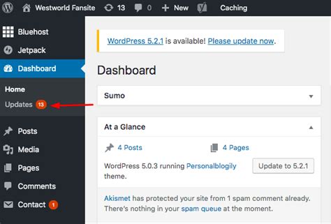 How To Update Wordpress Core Themes And Plugins