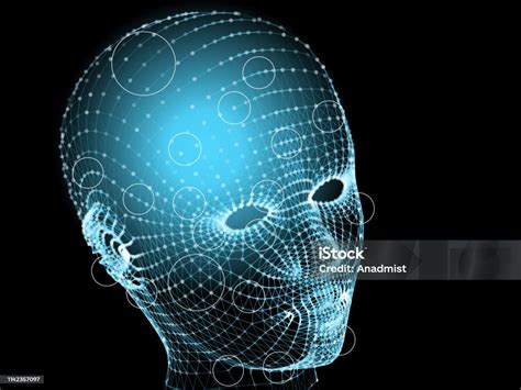 추상적인 3d 다각형 여성 얼굴 그리드 의학 미용 기술 벡터 일러스트입니다 0명에 대한 스톡 벡터 아트 및 기타 이미지 0명 3차원 초음파 3차원 형태 Istock