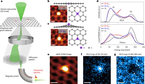 Vibrational Spectroscopy Of Substitutional Si Impurities In Graphene Download Scientific