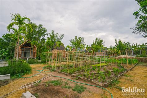 บ้านนอกคอกนา เขาใหญ่ คาเฟ่ที่เป็นมากกว่าที่จิบกาแฟ ถ่ายรูปฮิปๆ แต่ยังได้สัมผัสวิถีเกษตรพอเพียง