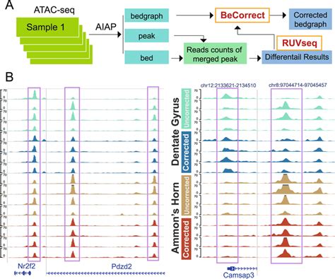 Batch Effect Correction Of Visualized ATAC Seq Signal By BeCorrect A Download Scientific