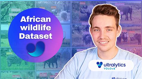 Object Detection Using African Wildlife Dataset With Ultralytics Yolov8 Episode 59 Youtube