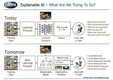 Steve Nouri On Linkedin Ai Technology Datascience Machinelearning