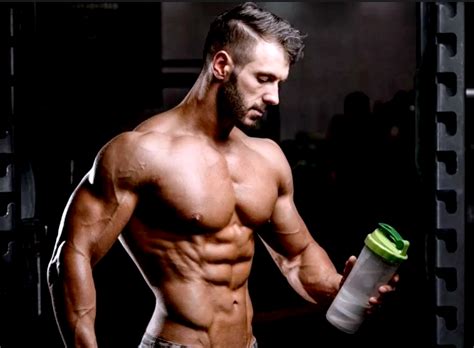 Анаболизм белков - что это такое и как происходит