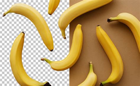 Find PNGs For Your Creative Design Free PNG Website
