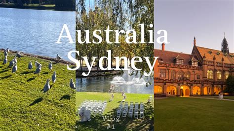 🇦🇺호주 시드니 여행 Vlog 1 외국 결혼식 신기한 피로연 시드니 대학교 Youtube