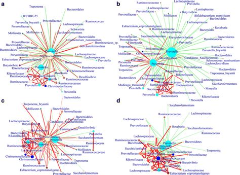 Relationships Of Bacterial Communities The Networks Are Based On The