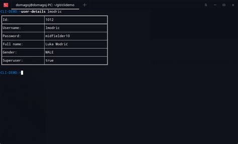 Part 4 Developing Cli Application With Spring Shell By Domagoj