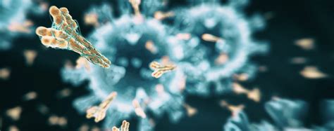 From Words To Vectors Inside The Llm Transformer Architecture By Harika Panuganty Medium