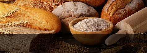 Изготвяне на документи и Haccp консултации Rubikom® Ltd