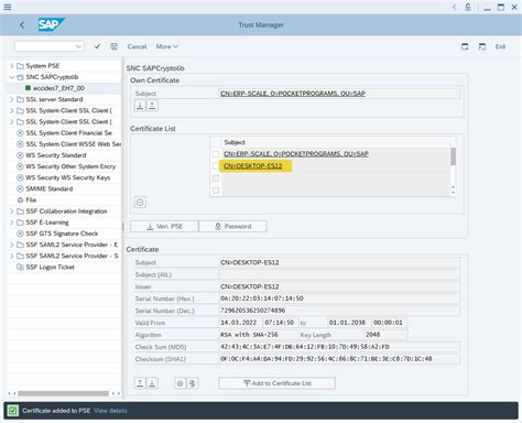 Creating An Snc Rfc Connection With Erp Scale Pocket Programs