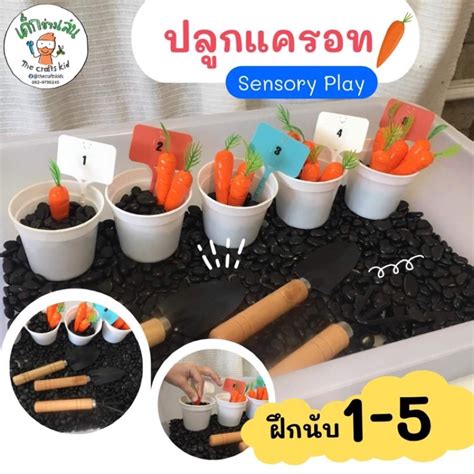 ชุดปลูกแครอทฝึกนับ 1 5 กิจกรรม Sensory Activity Sensory Play Montessori Maths ของเล่น2ขวบ 3ขวบ
