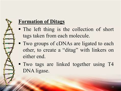 Sage Serial Analysis Of Gene Expression Pptx
