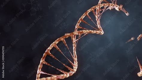 Dna Double Helix 3d Animation Of Dna Construction From Nucleotide Molecules Perfect To Use As