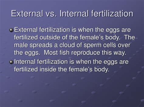 Ppt Understanding The Reproductive System Functions And Processes