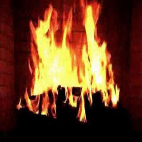 Fire Detection Object Detection Model By Smyneni Tests