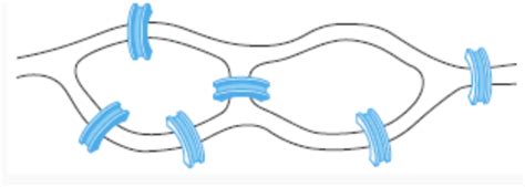 solved consider the six bridges graph how many vertices