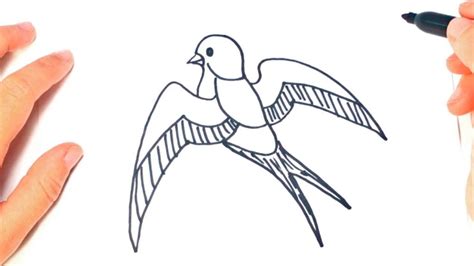 Як виконати чорно білий малюнок ластівки майстер клас від художника Ravlyk