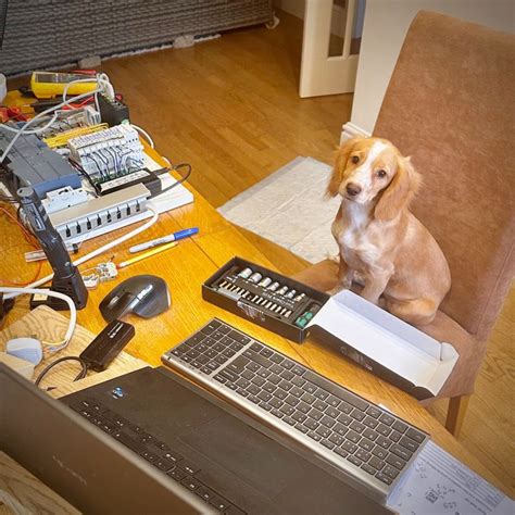 Mark Lee On Linkedin Controlsengineer Apprentice Teaching Learning