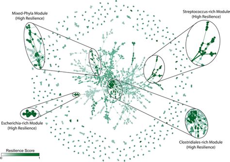 Microbiome Association Network Colored By Module Resilience Module