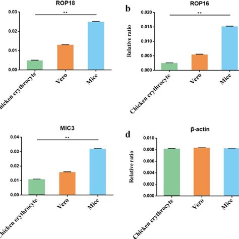 Evaluation Of Transcriptional Expression Of Virulence Factors In T Download Scientific Diagram
