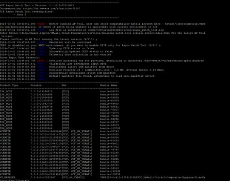 How To Apply Async Patch To Vmware Cloud Foundation 51 Virtual Bytes