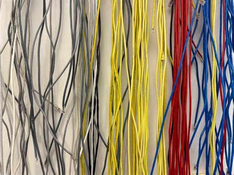 Network And Computer Technology Concept Colorful Wires Patch Cord Stock Image Image Of